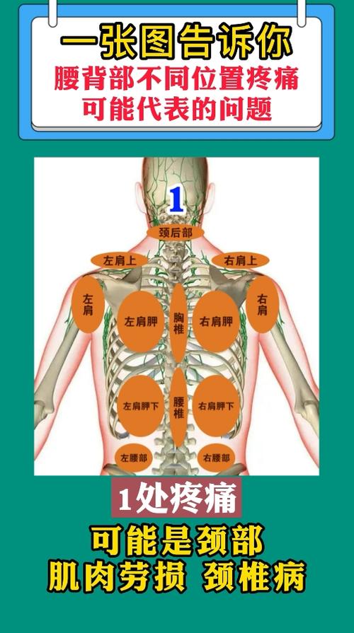 身体部位疼痛对应图图标