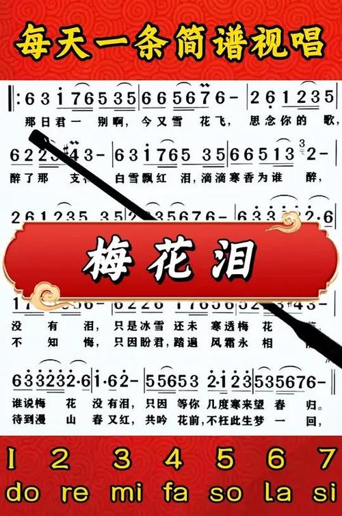 宋伶俐《梅花泪》图标
