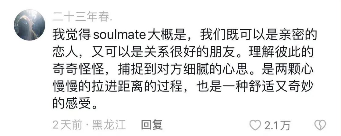 soulmate和情侣的区别图标