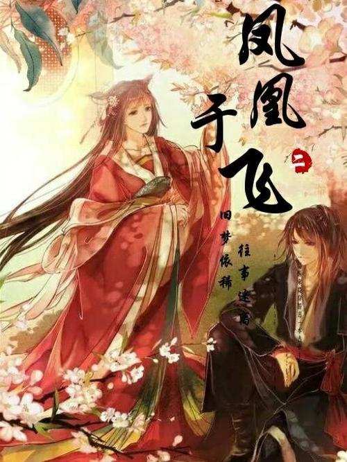 凤凰于飞小说图标