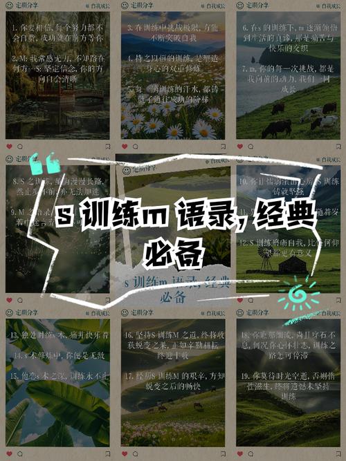 sw字母圈什么意思图标