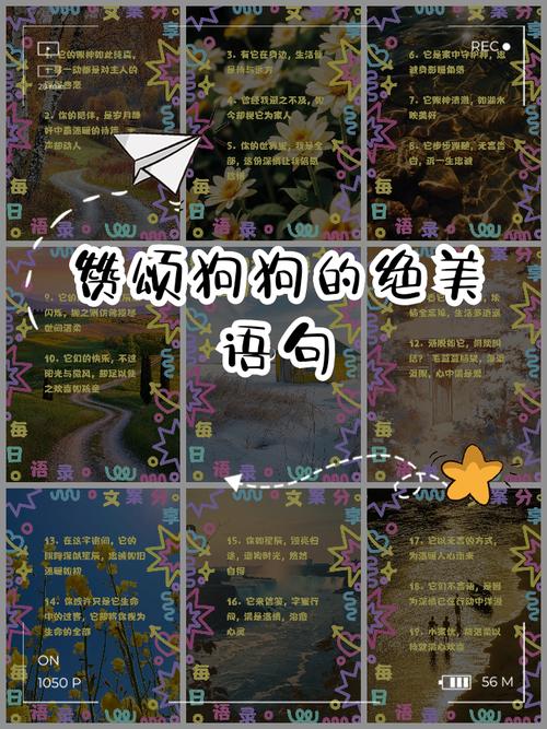 gro网络用语图标