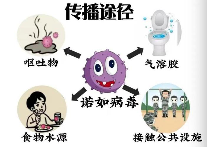 诺如病毒怎么引起的截图