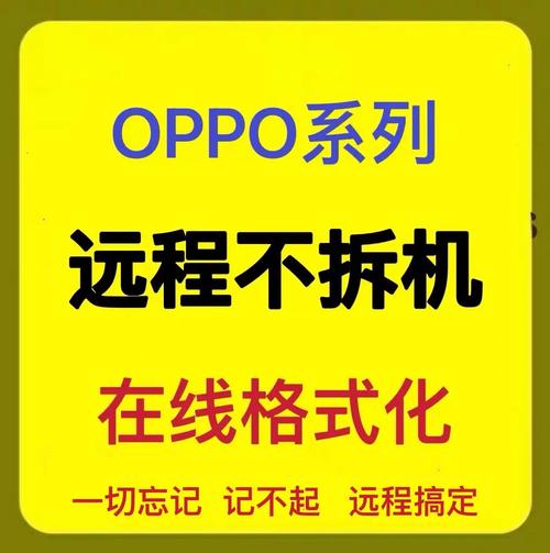oppo手机远程锁机图标