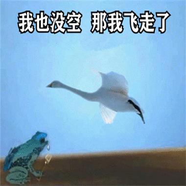 天鹅表情包截图