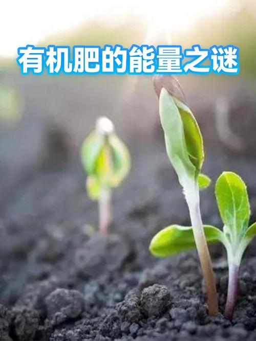 好友的能量不能收取的原因图标