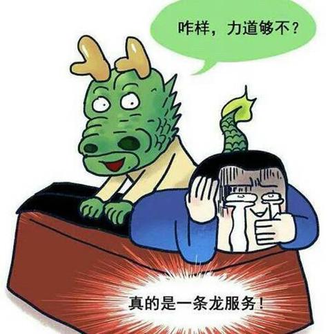 直捣黄龙服务是什么意思图标