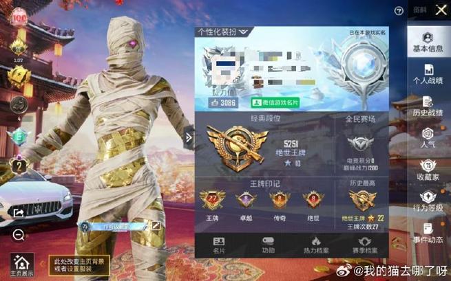 和平精英王牌10星截图