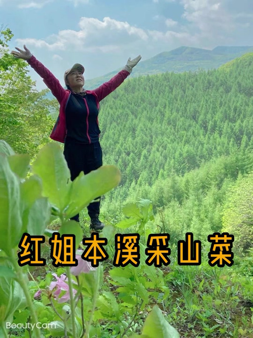 东北红姐歌曲图标