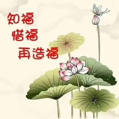 惜福的佛语句图标
