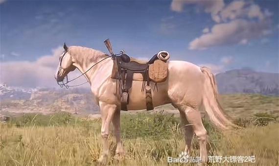 大表哥线上可以偷马买吗