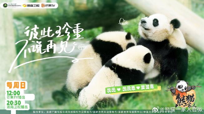 pandatv账号密码大全图标