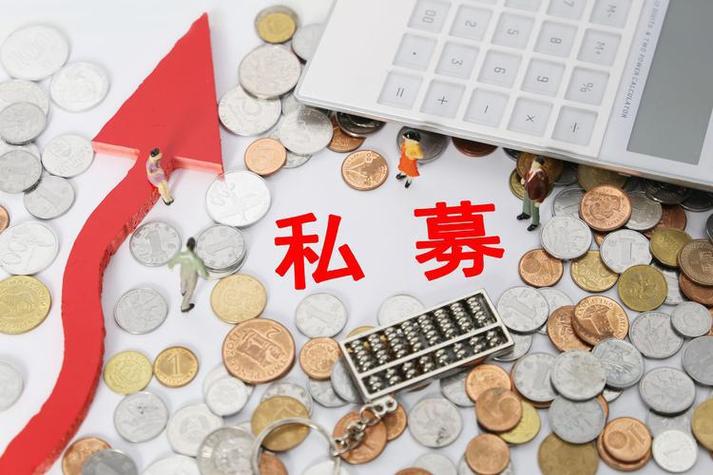 股权私募图标