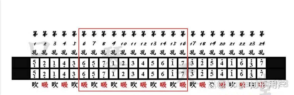 零基础学口琴视频教程图标