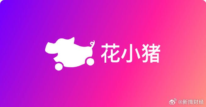花小猪怎么样图标