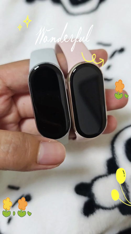 小米手环性价比高的是哪款图标