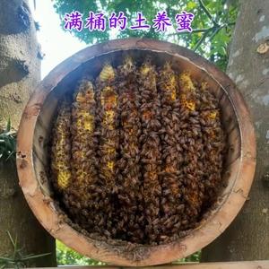 蜂箱用什么吸引蜜蜂图标