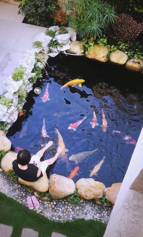 鱼塘美化图标