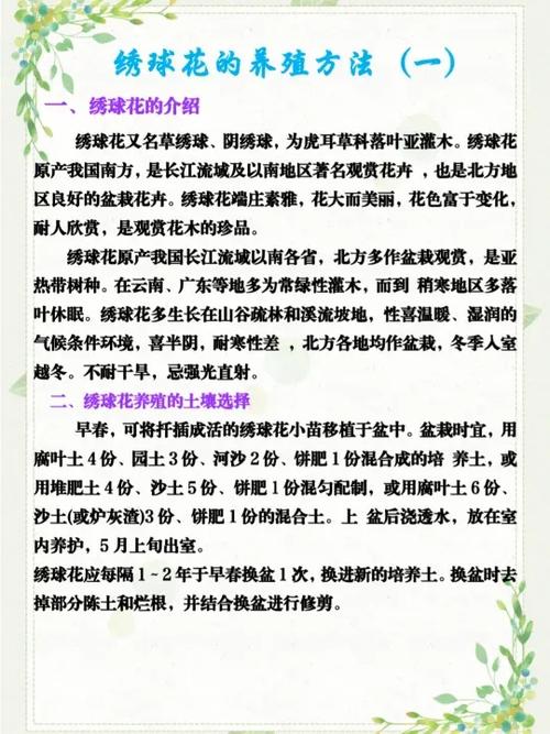 绣球花的养殖方法和管理截图