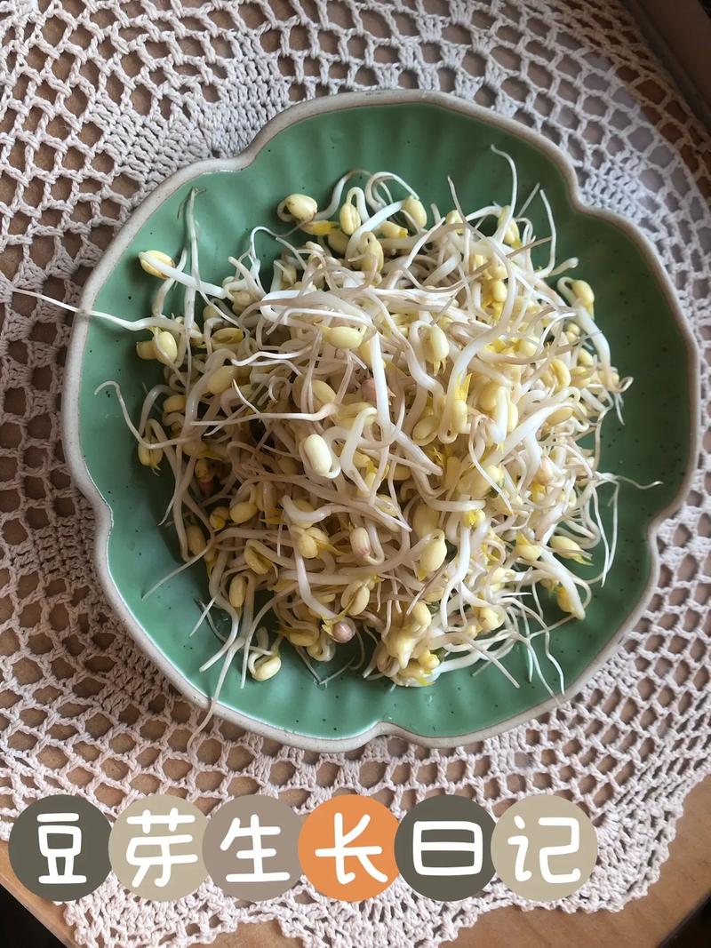 豆芽赚转发文章赚钱平台图标