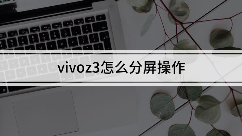 vivoz3i如何分屏截图截图
