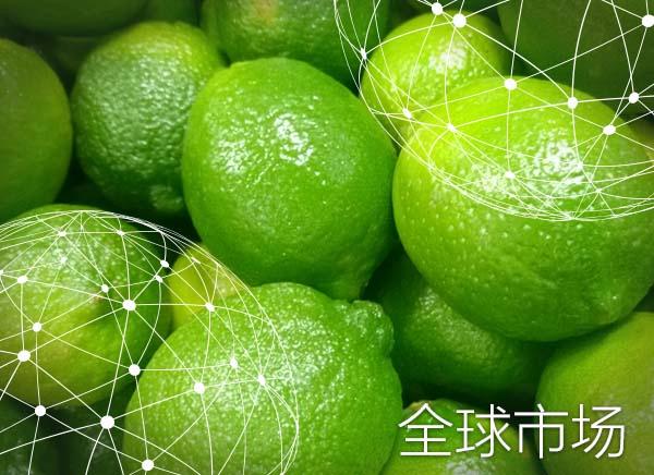 青柠应用市场图标