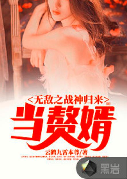 无敌赘婿图标