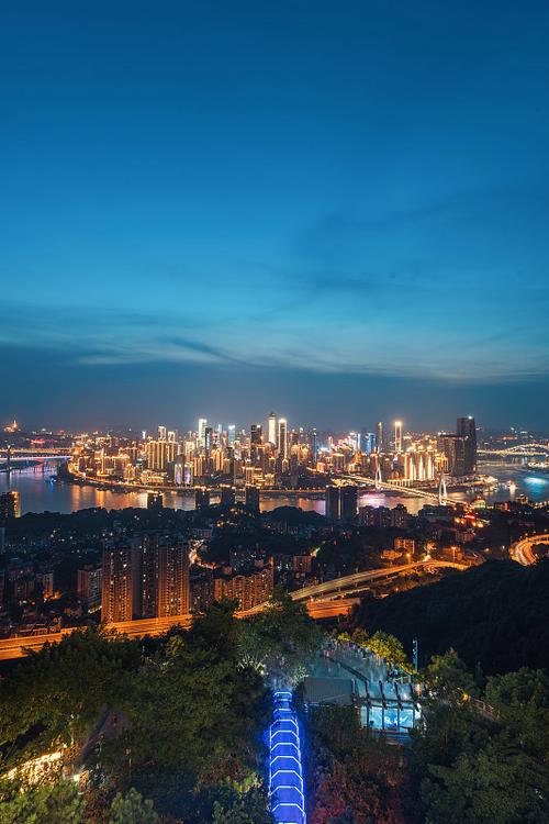 南山一棵树图标