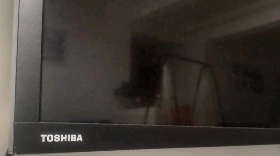 东芝电视机开机后黑屏截图
