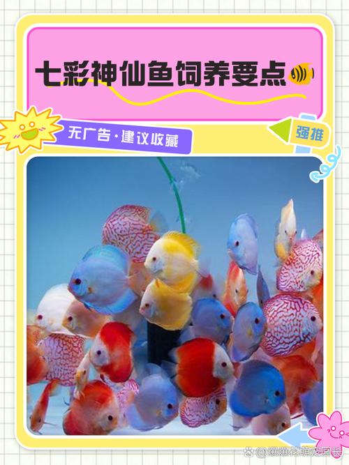 家里养七彩鱼好养吗图标