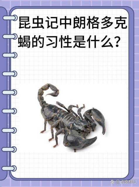 蝎子是什么东西图标