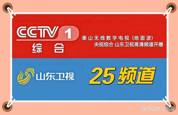 山东卫视今天节目回放图标