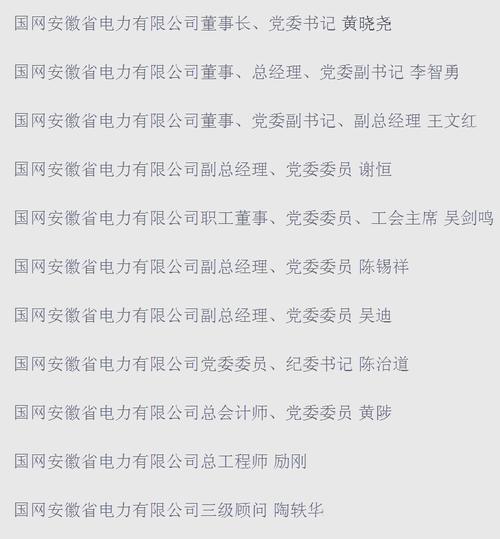 安徽电力干部一览表截图