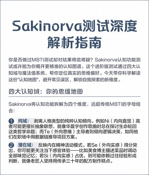 sakinorva测试中文版截图