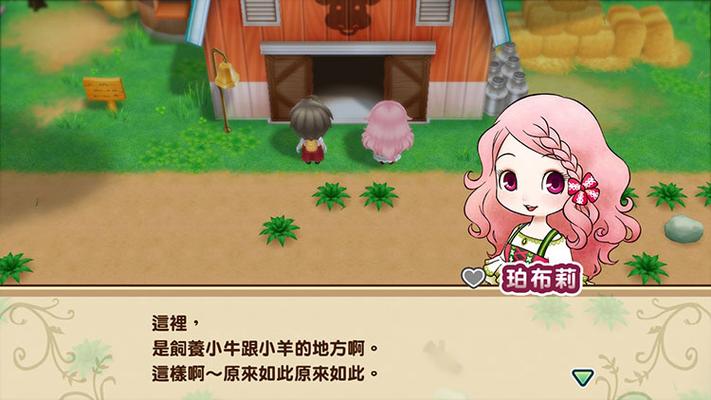 牧场物语矿石镇修改版