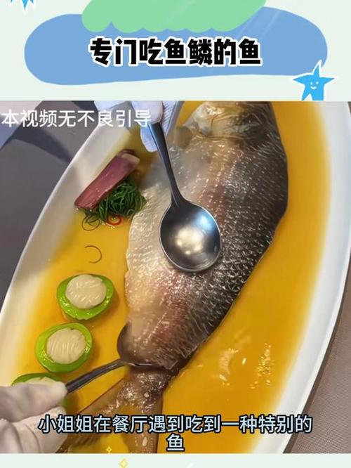 鱼的鱼鳞可以吃吗图标