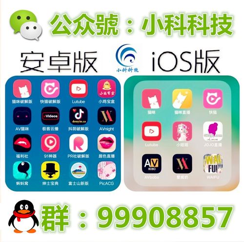 猫咪视频社区app破解版xz图标