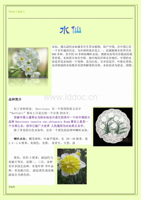 关于水仙花的传说有哪些截图