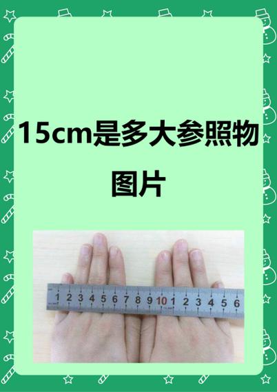 15厘米的物品参照物图标