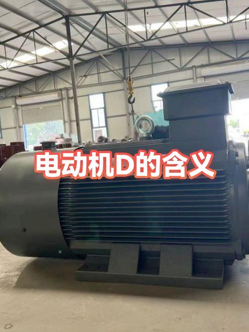 d的含义和意思图标