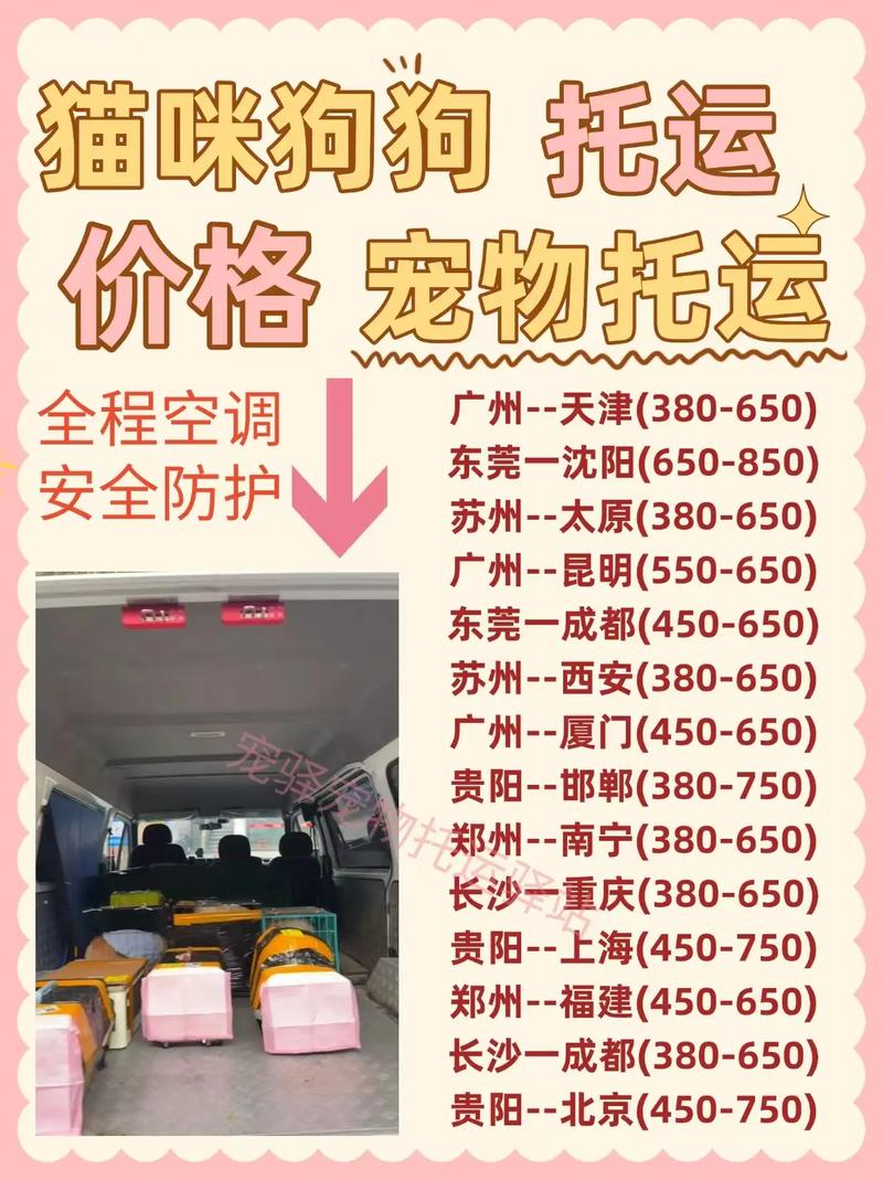 顺丰快递可以寄猫吗游戏截图