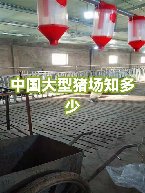 中国养猪场前十名截图