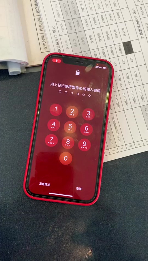 苹果手机向上轻扫打开图标