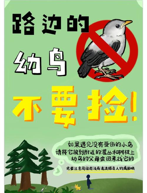 拯救小鸟图标