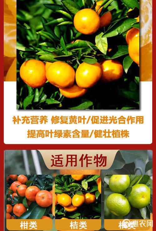 柑橘黄化专用药截图