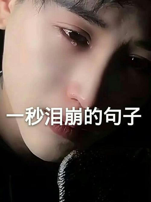 一秒泪崩的词图标