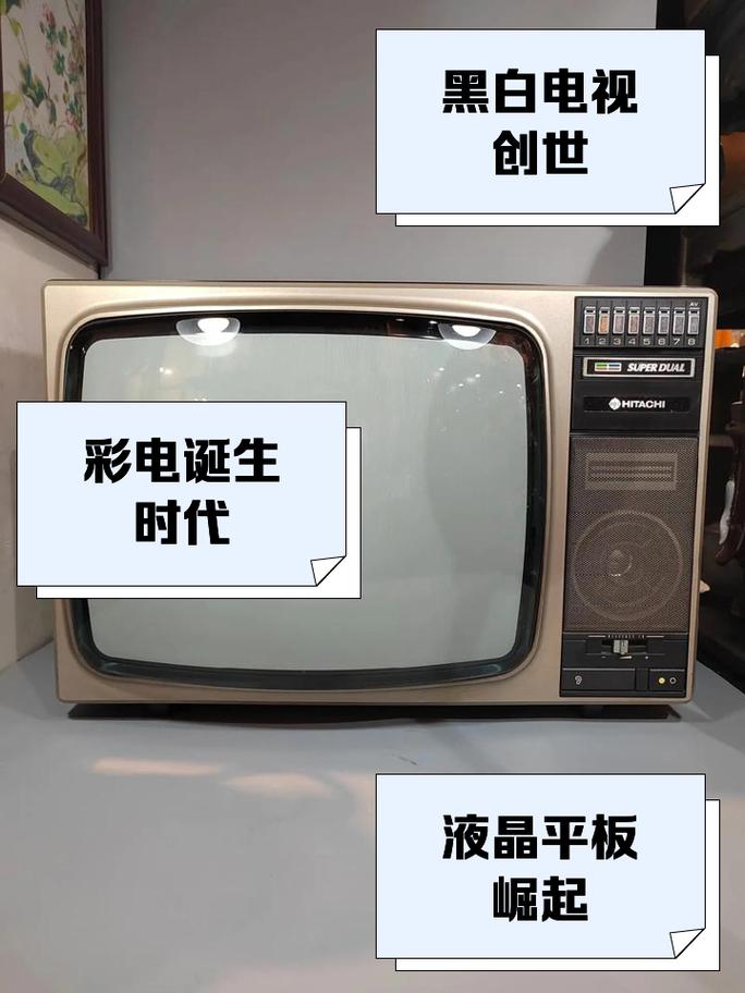 紫电视频历史版本图标