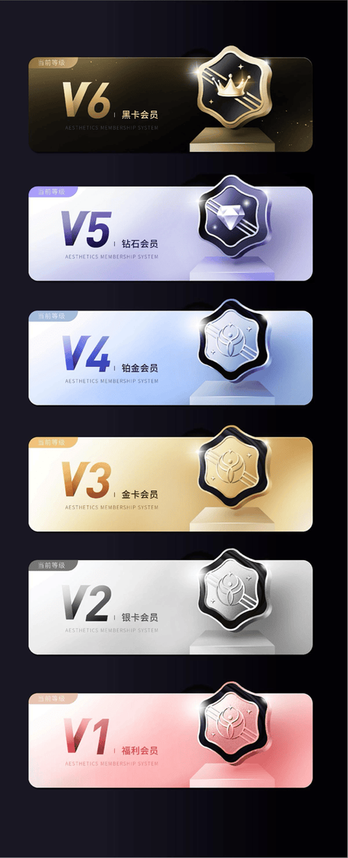 dior会员等级划分图标