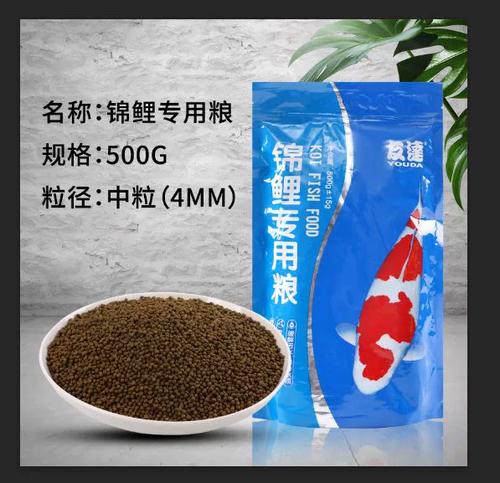 锦鲤喂什么可以代替鱼食