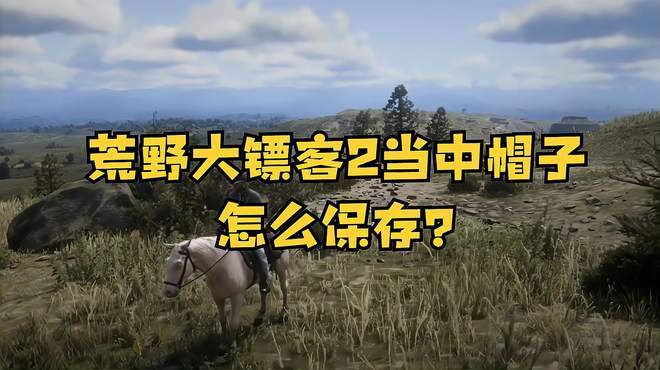 荒野大镖客帽子保存图标